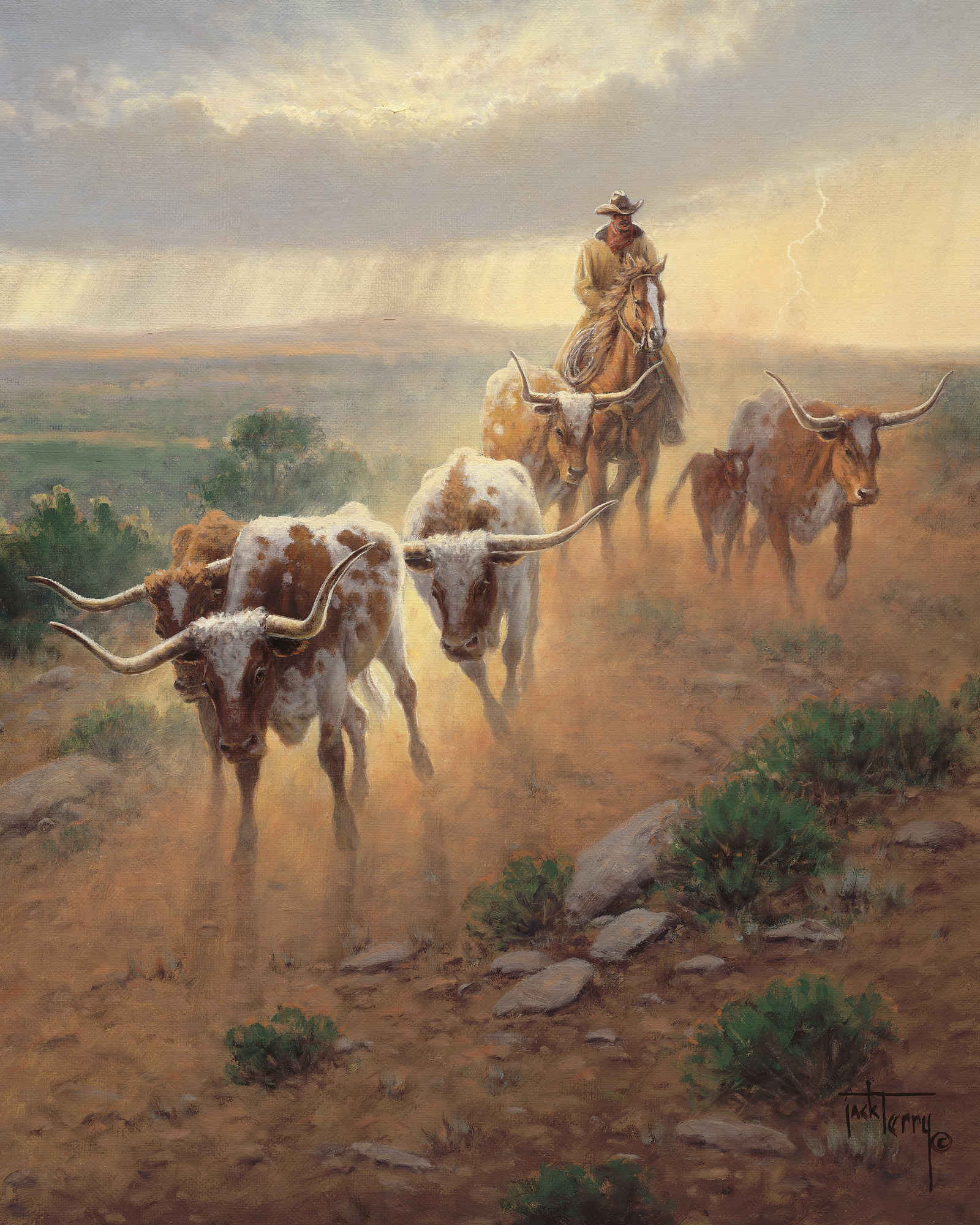 Misty Trail Jack Terry