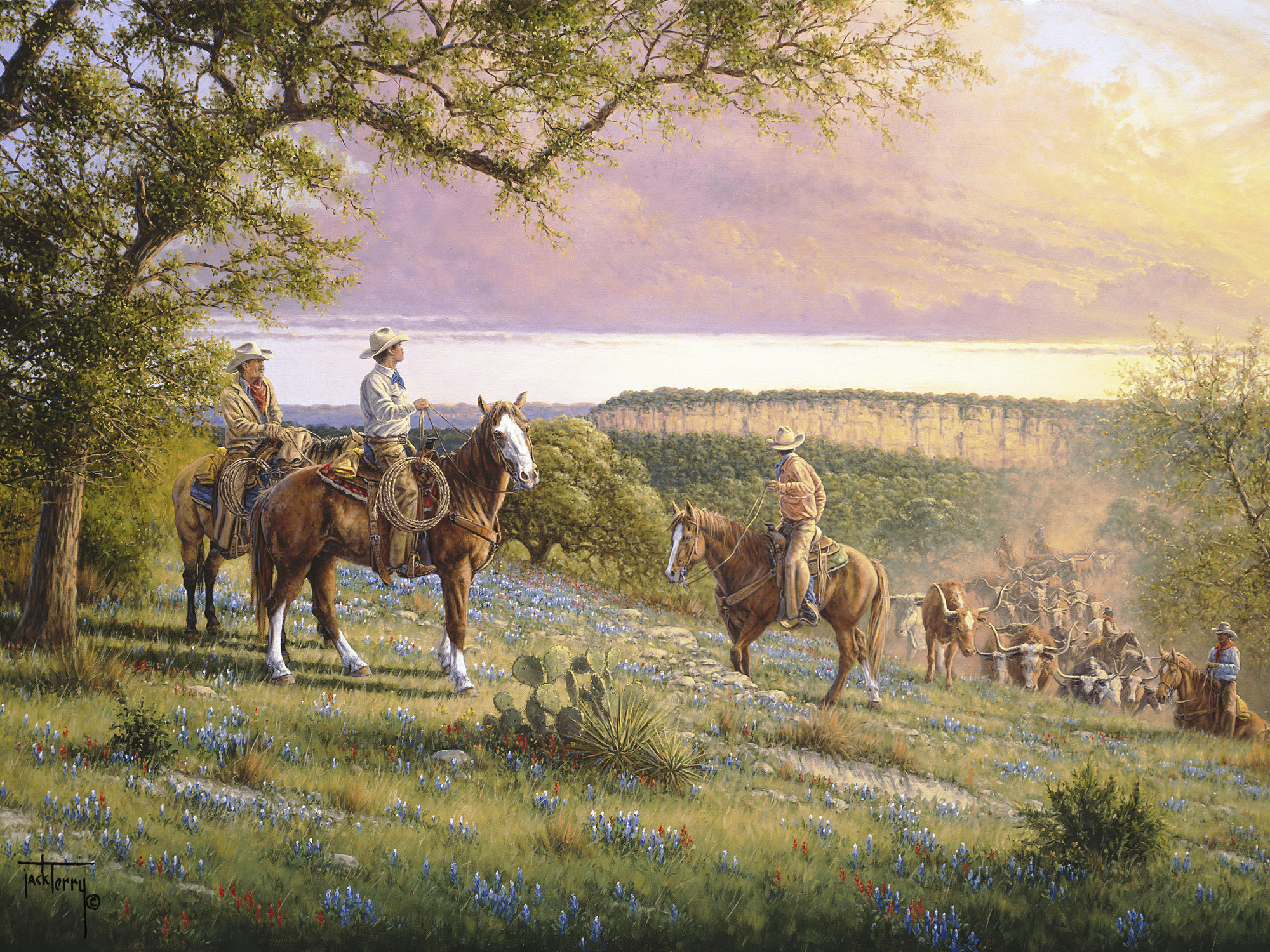 Misty Trail Jack Terry